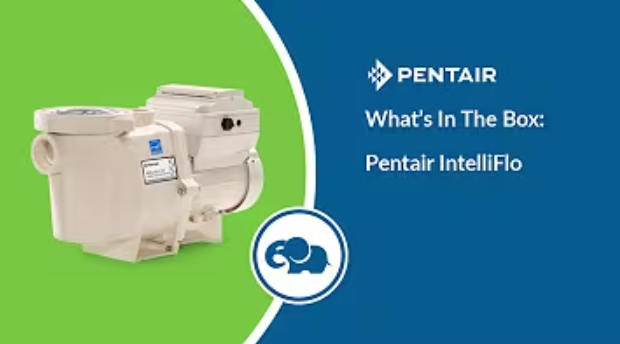 Pentair IntelliFlo Pool Pump: What's In The Box? | ePoolSupply