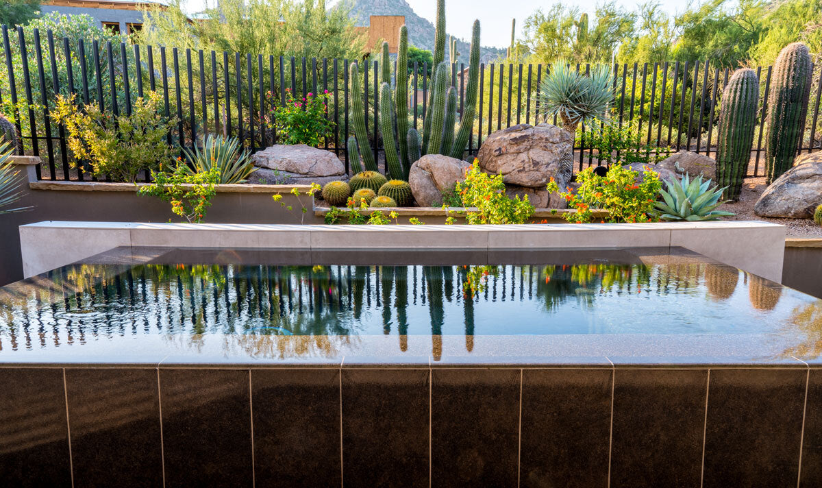 How to decide which plants are best for your pool landscape! – ePoolSupply