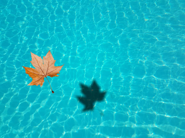 Fall Pool Maintenance Tips – ePoolSupply