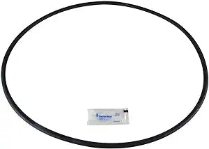 Pentair PLM Filter System Body O-Ring – ePoolSupply