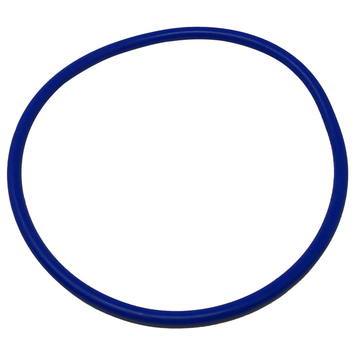 Pentair Lid O-Ring | ePoolSupply