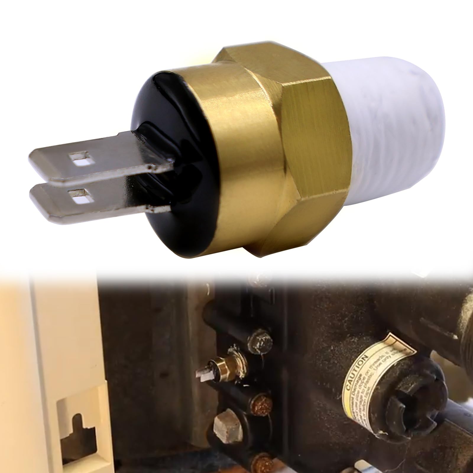 PENTAIR High Limit Switch for Max-E-Therm and MasterTemp Heater Electr ...