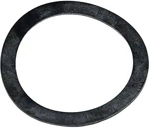 Pentair 2" Bulkhead Gasket for Triton II TR100C/TR140C | 154538