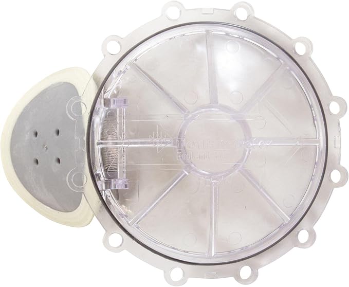 Pentair Check Valve Flapper Replacement Kit || 270119Z