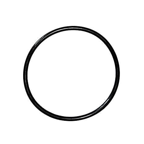 Pentair 357099Z Square Seal-Plate O-Ring | IntelliPro / Max-E-Pro Pump ...