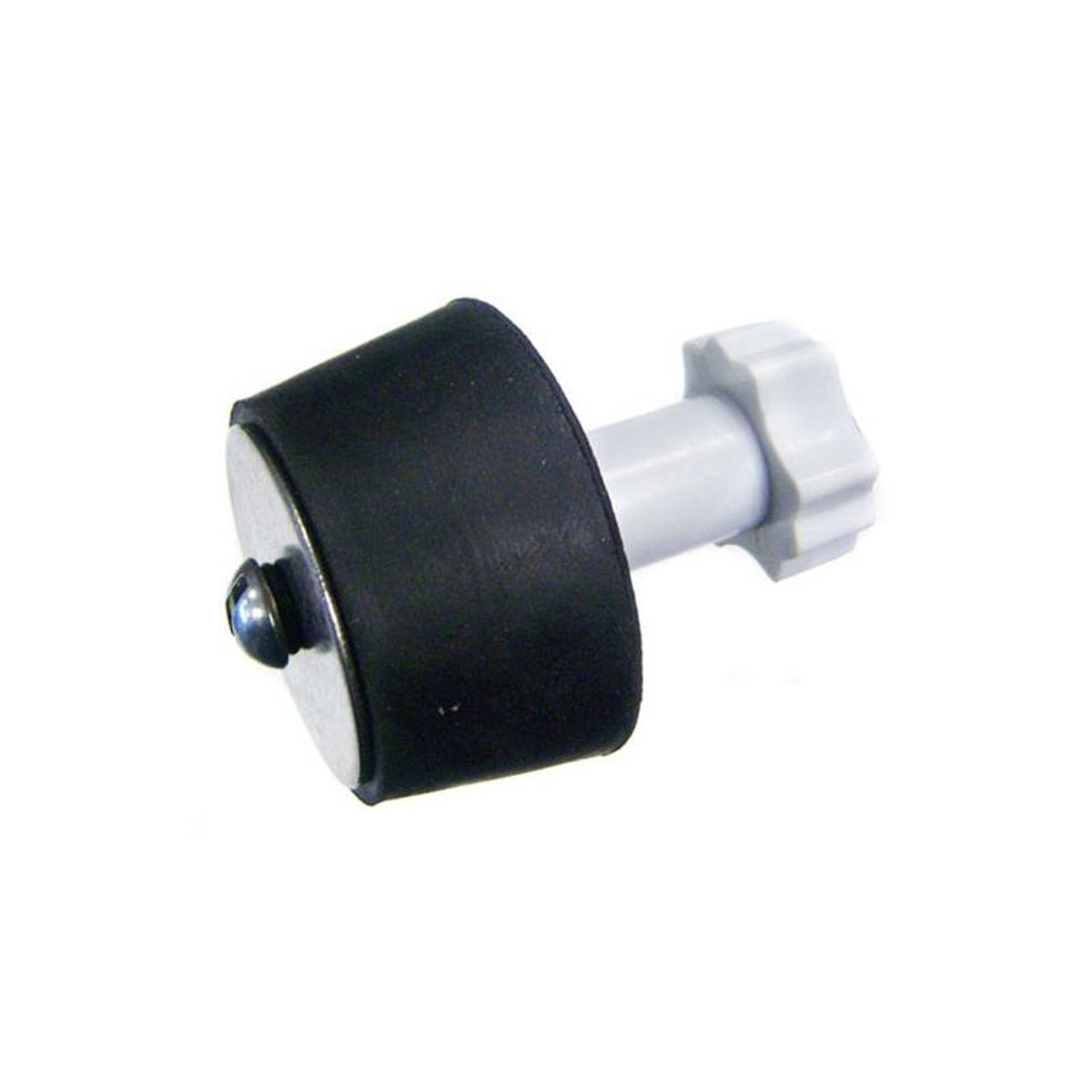 Winter Test Plug 2" Fitting | 800-12