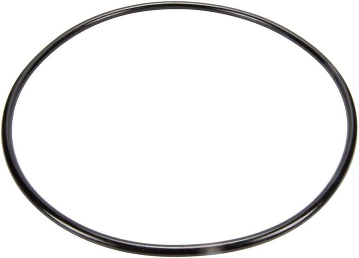 Pentair EasyClean Filter System Body O-Ring | 87300400Z – ePoolSupply