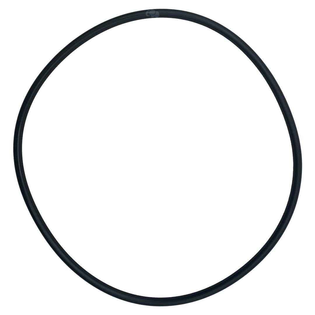 Pentair EasyClean Filter System Body O-Ring | 87300400Z – ePoolSupply