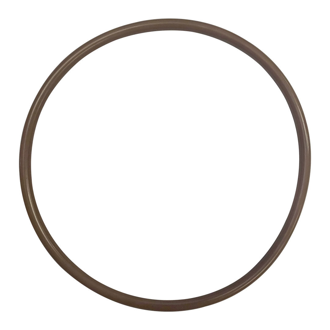 Hayward (CLX200K) Chlorinator Viton O-Ring || O-231V-BAGGED – ePoolSupply