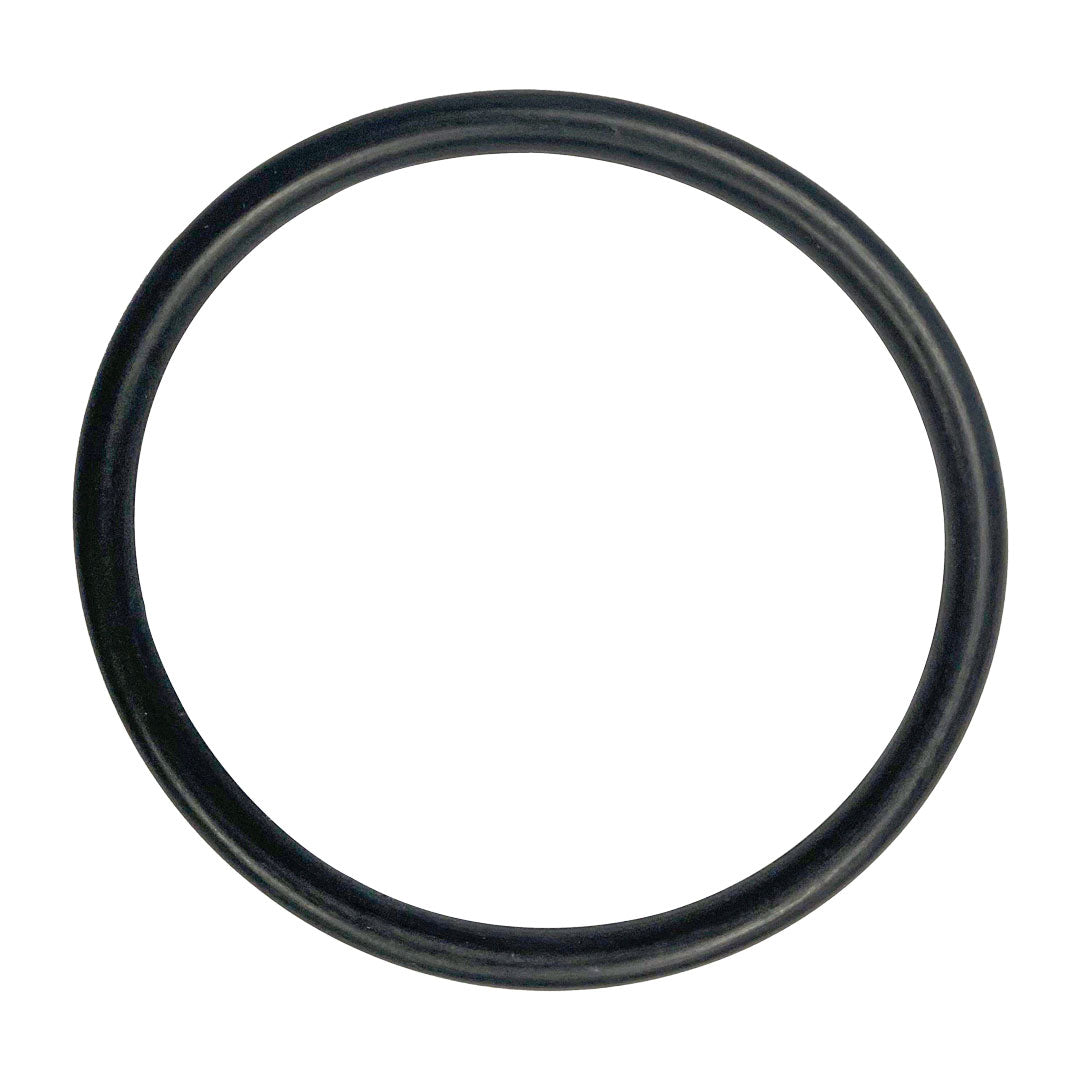 Hayward (SX360Z1) Micro Clear & Pro Series Bulkhead O-Ring || O-246-BA