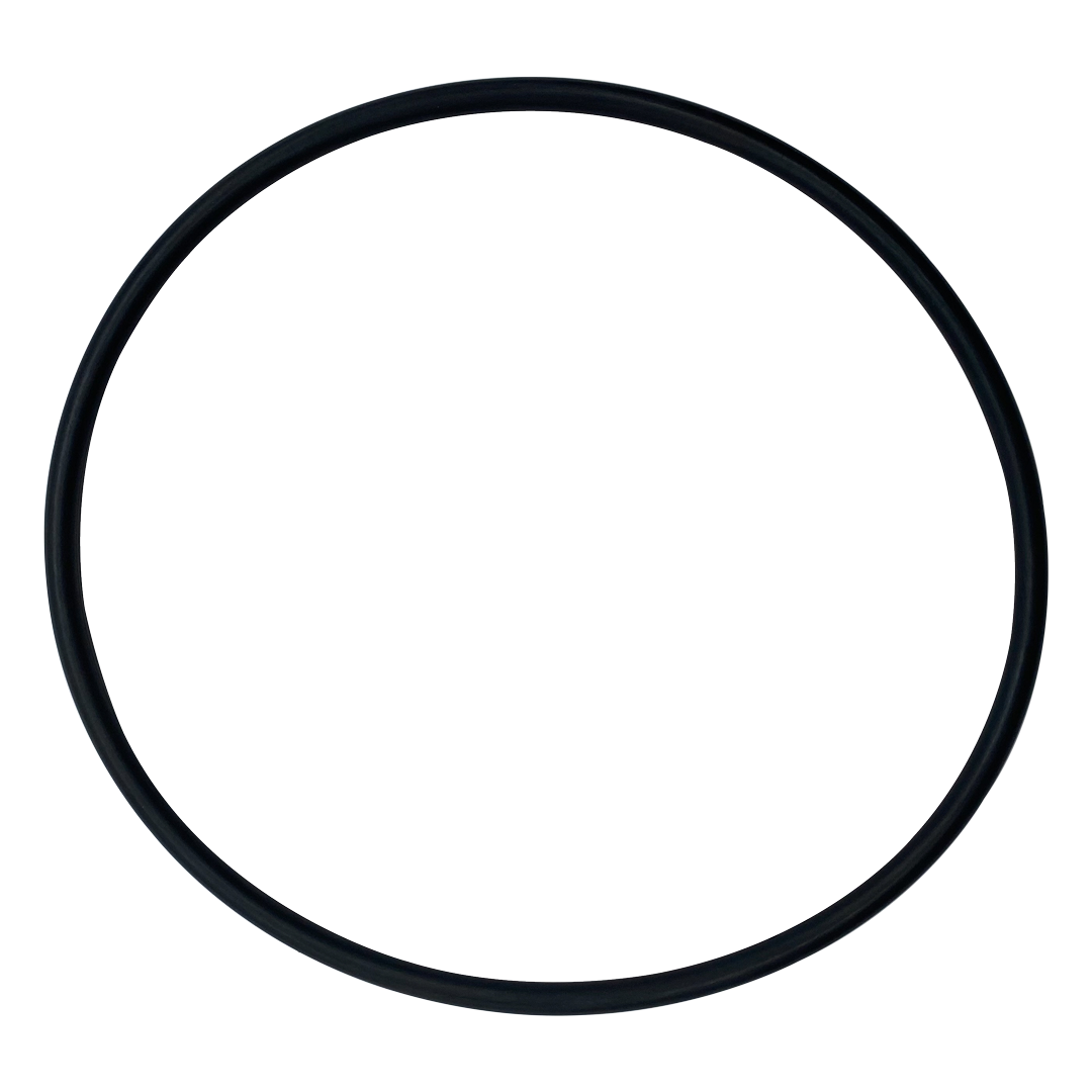 Anthony/Kim Lens O-Ring || O-3-BAGGED – ePoolSupply