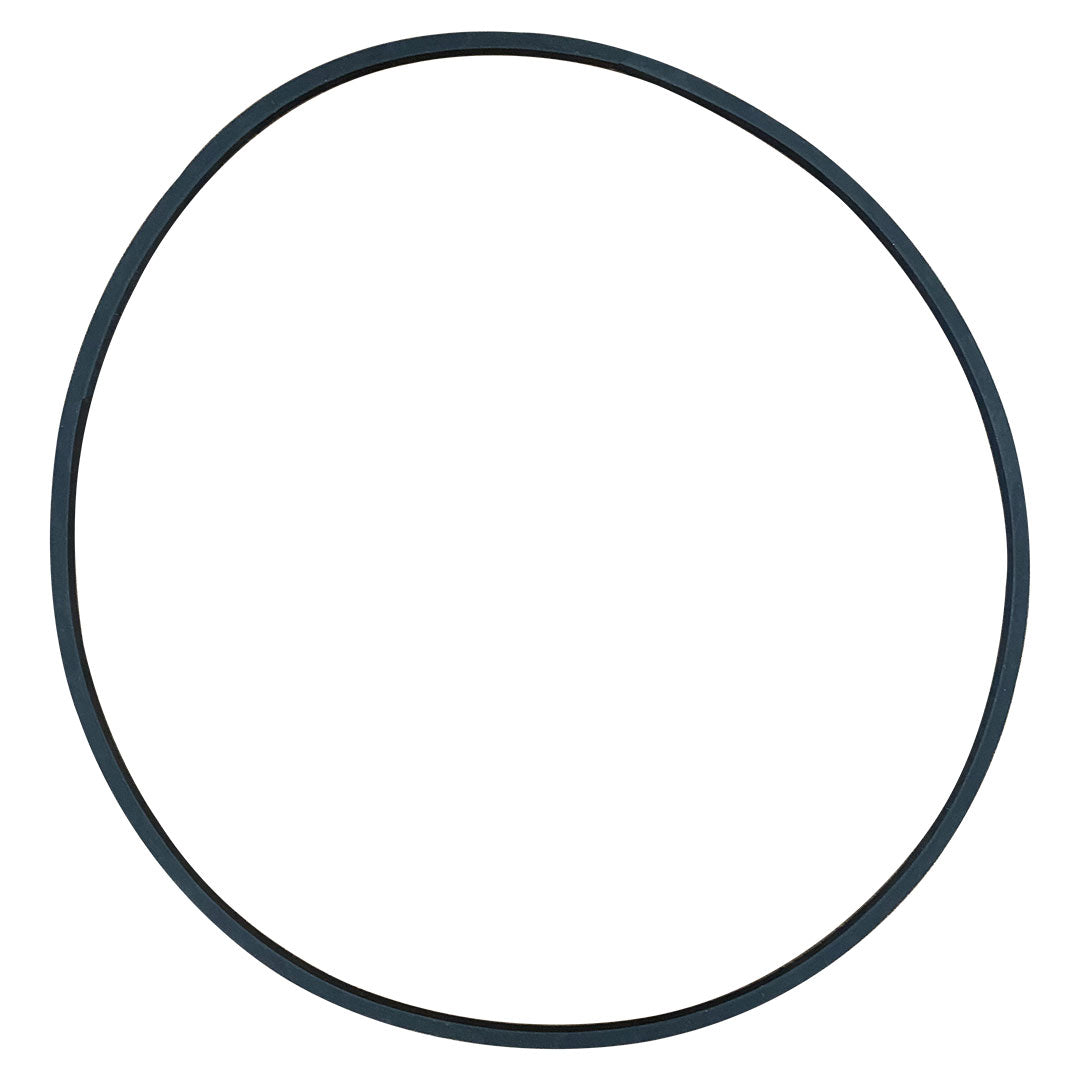 American (39501300) Pump Seal Plate O-Ring || O-300-BAGGED – ePoolSupply