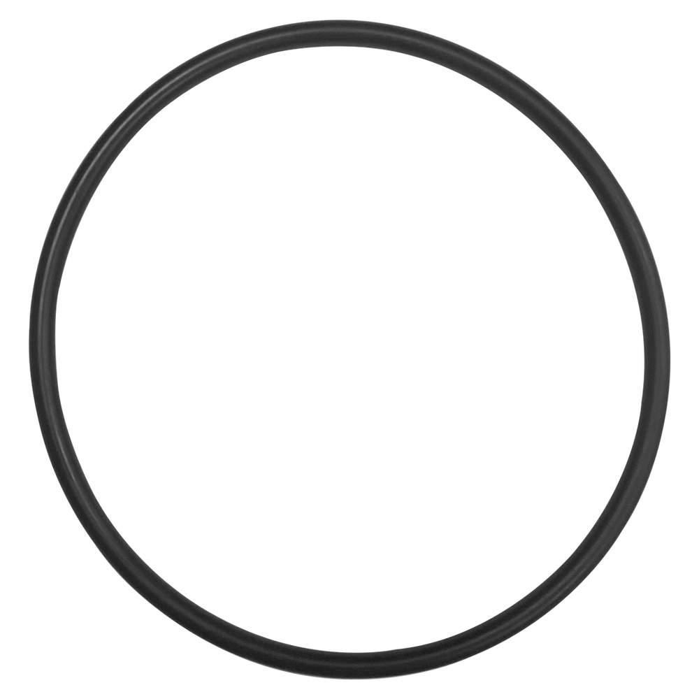 Jandy (2300) Porpoise Hydro Timer Case O-Ring || O-364-BAGGED