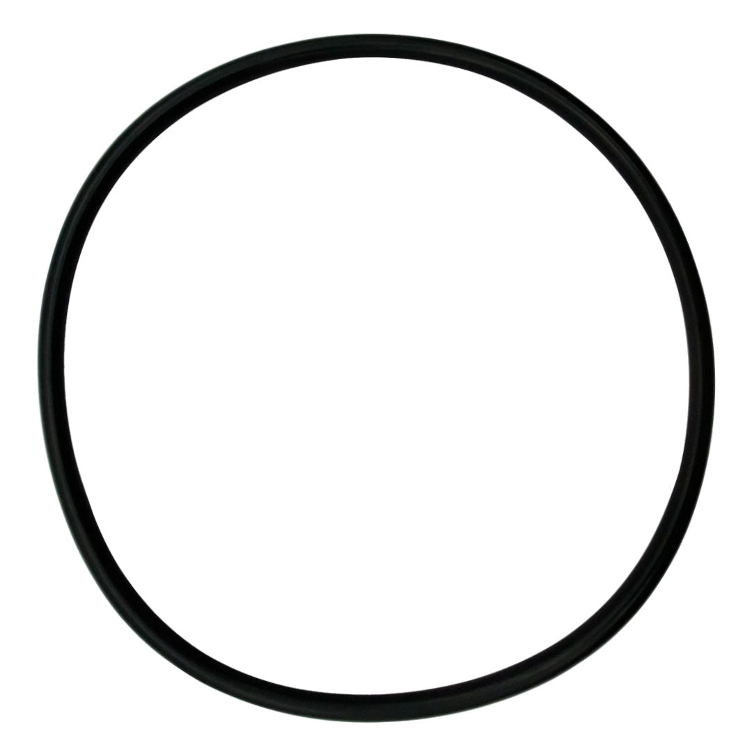 E-Z Chlor (5099-135) Richarson Sea Blue Heldor 22" Filter Tank O-Ring ...