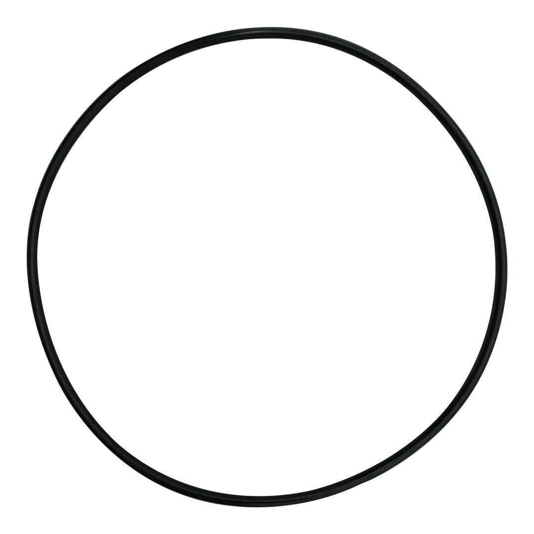 Jandy (R0446300) SHPF/SHPM Stealth Pump Back Plate O-Ring || O-521-BAG ...