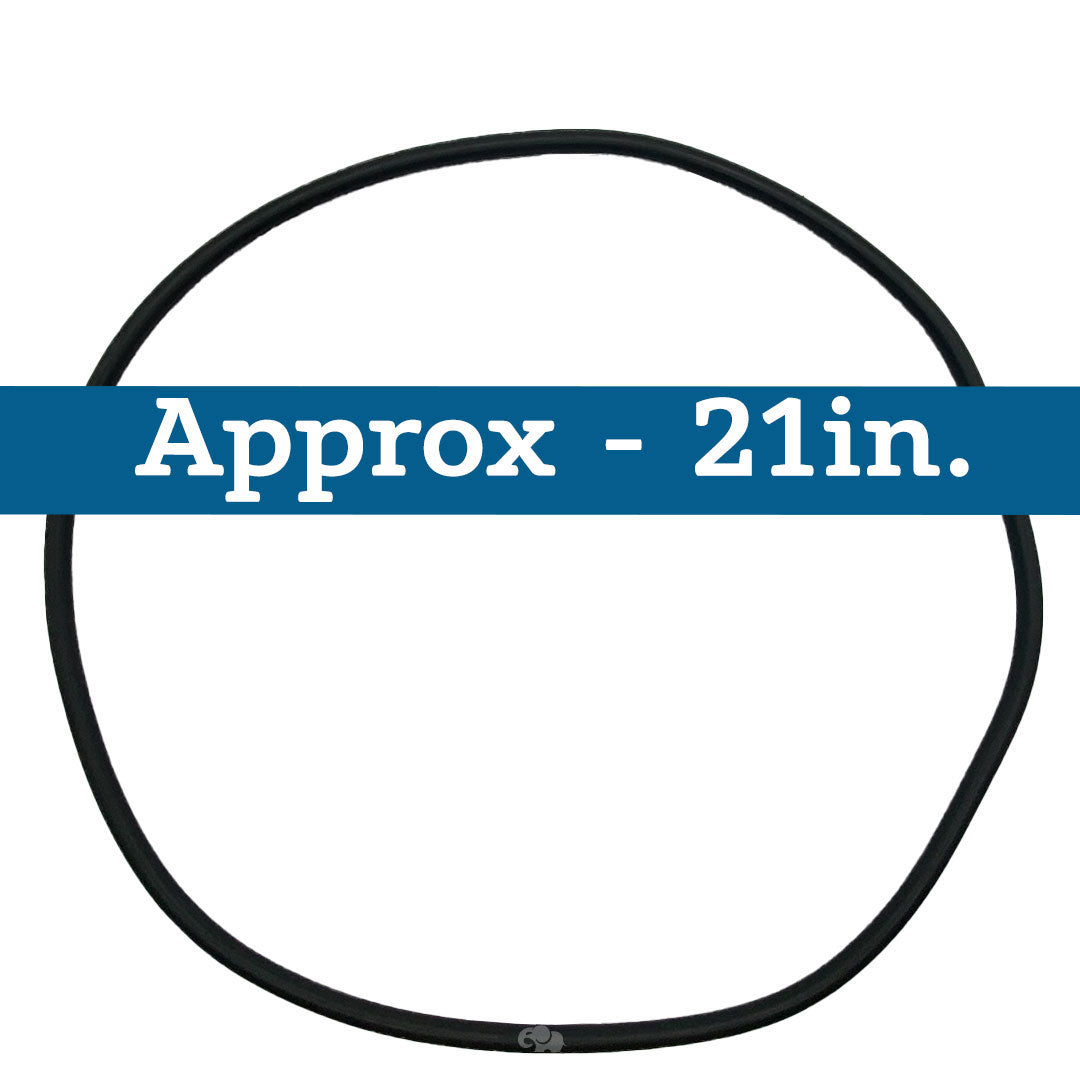 Jandy (R0357800) CL580/DE60 Cartridge Filter Tank O-Ring || O-524-BAGG ...