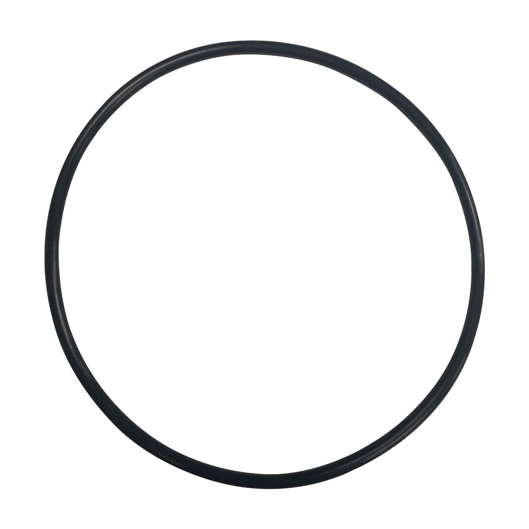 Pentair (620013Z) Intelibrite Color LED Landscape Light O-Ring || O-63