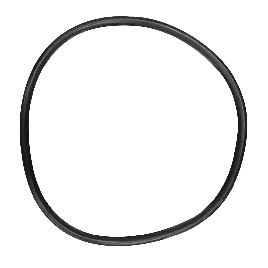 Pac Fab (174704) Mytilus, Turbo, Star Tank O-Ring || O-99P-BAGGED ...