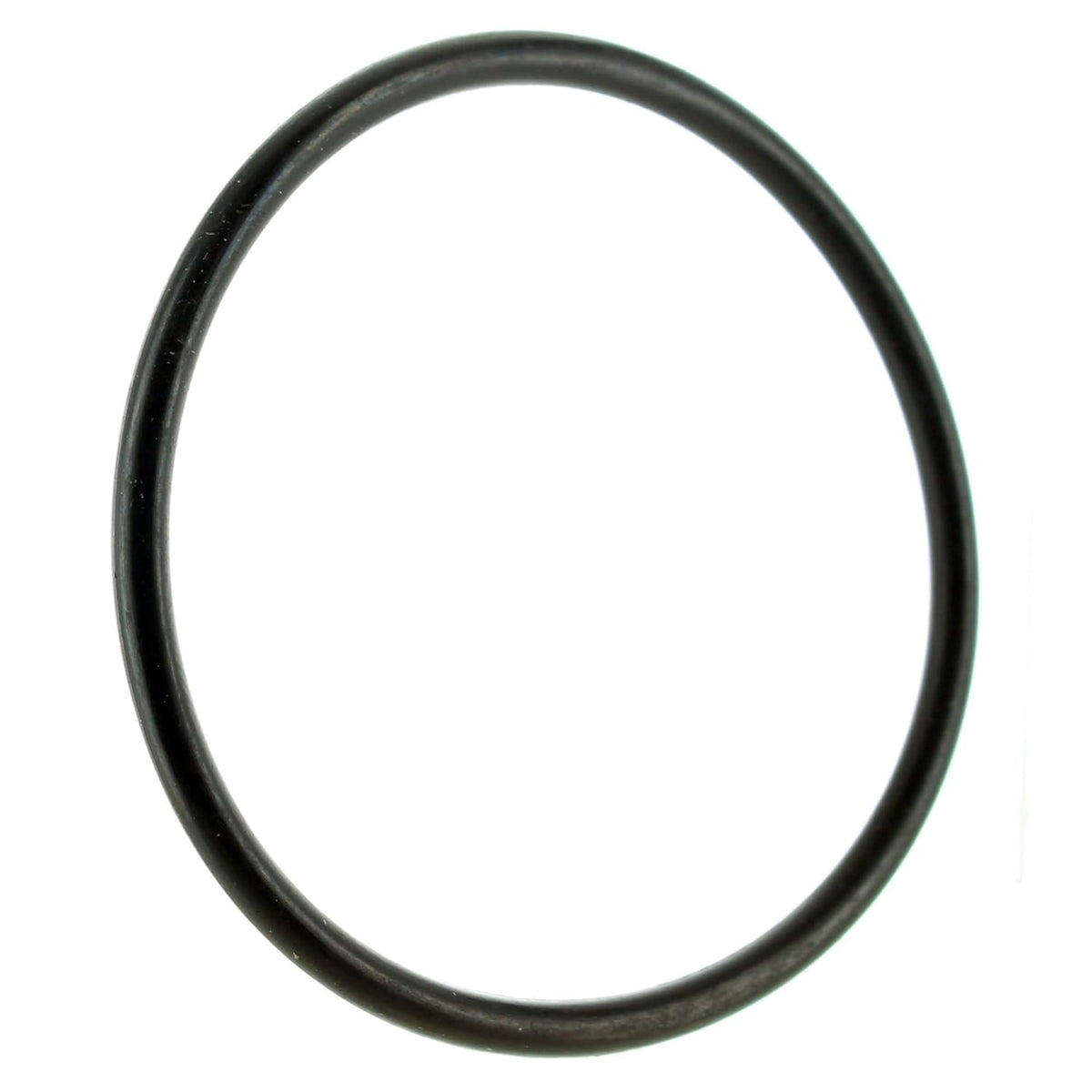 Polaris Forza Above-Ground Pool Pumps Lid O-Ring || R0968900 – ePoolSupply