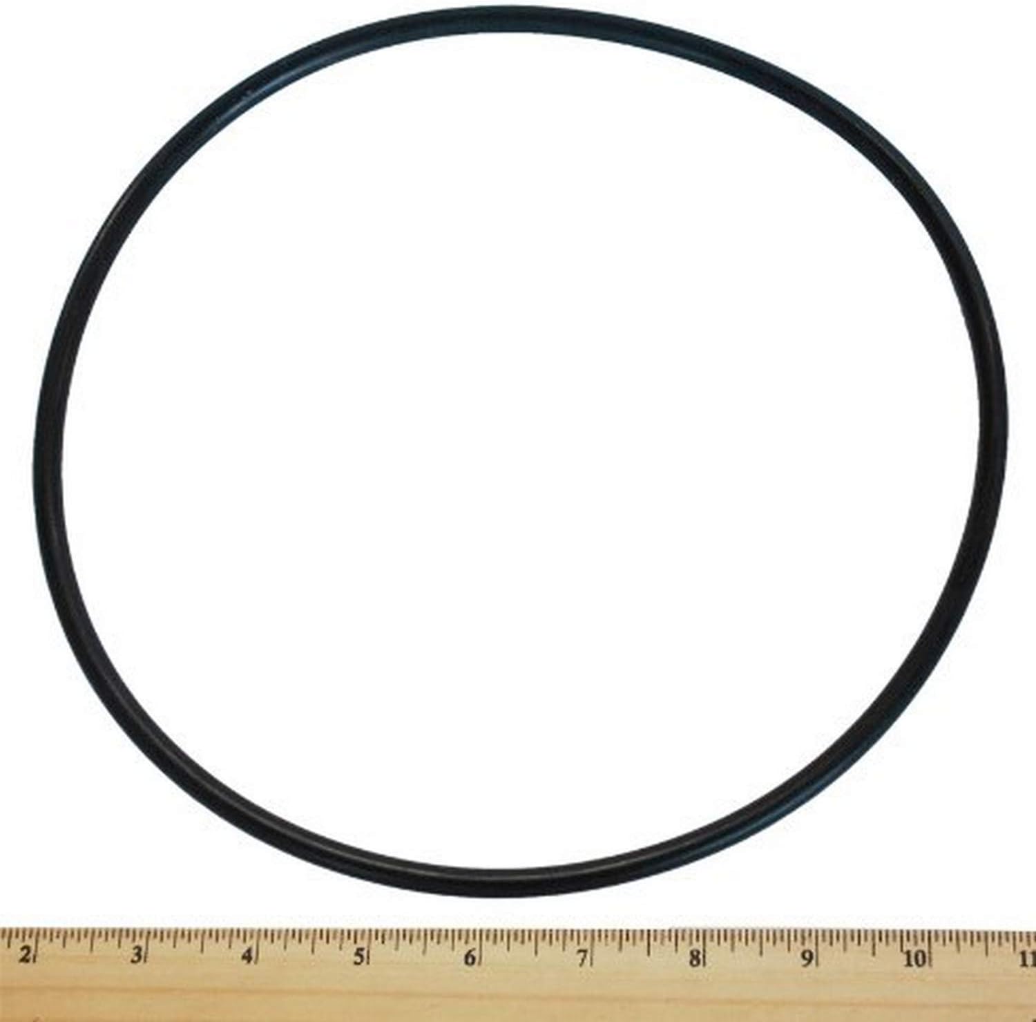 Dyna-Pro Pump Seal Plate Cord Ring || U9-373Z – ePoolSupply