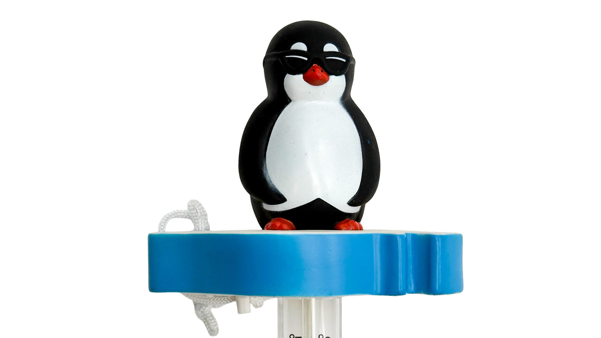 Oreq Chillin Charlie Pool/Spa Thermometer | TH600DB