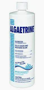 Applied Biochemists Algaetrine | 406503A | 32 fl oz | Algae Control ...