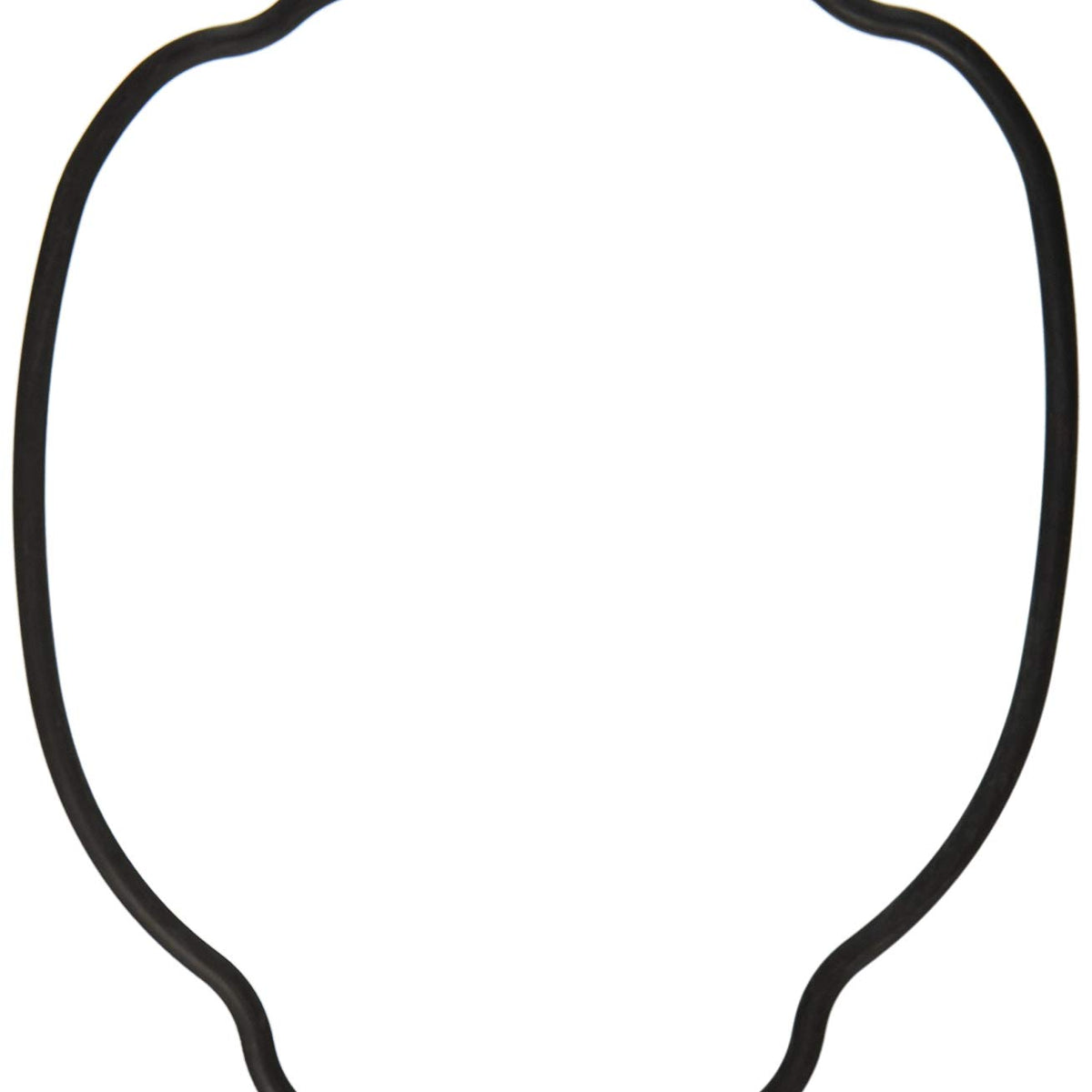 Hayward TriStar VS 900/950 Omni Pump Housing O-ring || SPX3200T ...