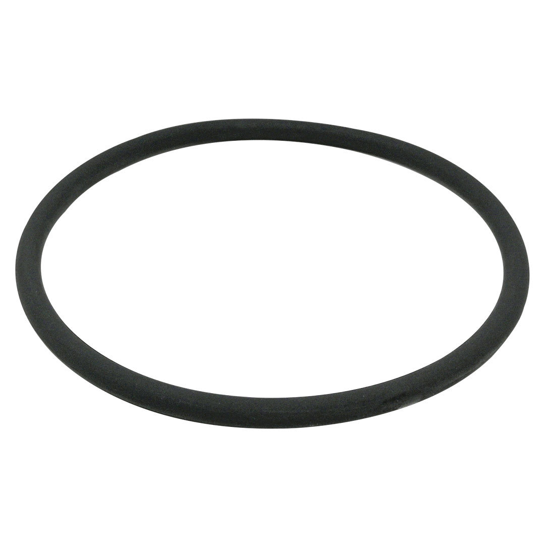 Pentair VITON O-rings for Chlorinator Rainbow Models 300/320 | R172009 ...