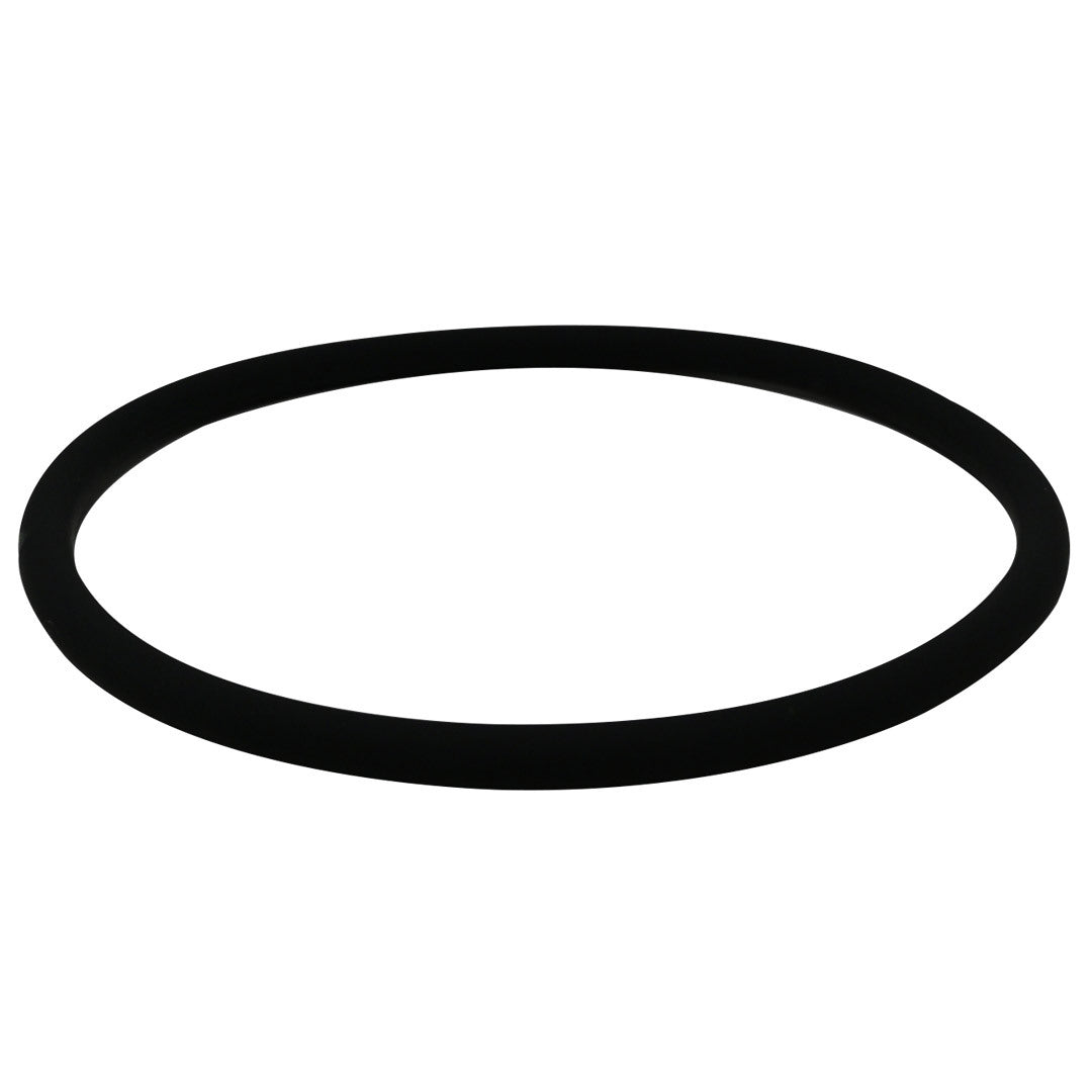 Pentair VITON O-rings for Chlorinator Rainbow Models 300/320 | R172009 ...